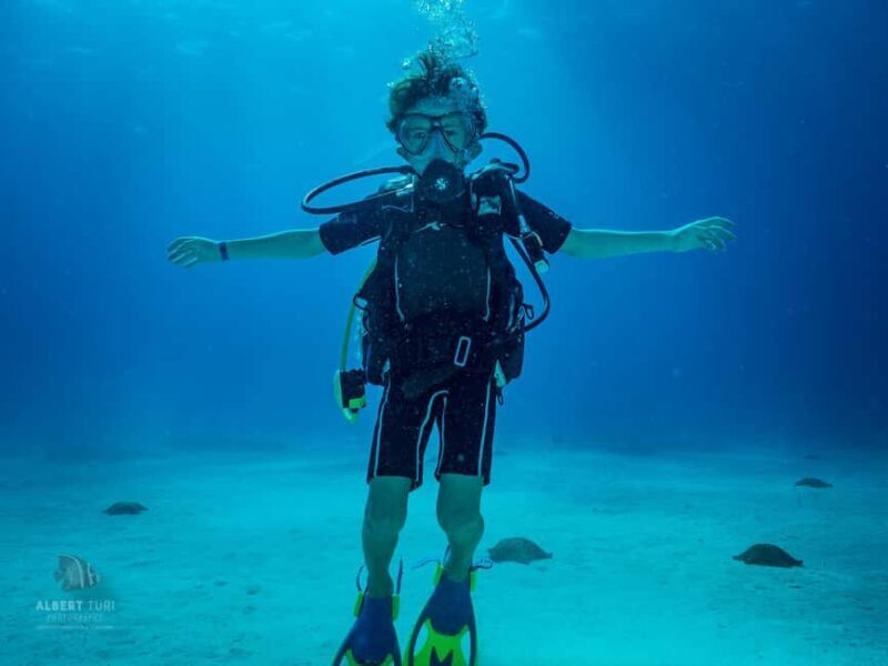 Bayhibe: Private 2 Tank Scuba Dive tour in the National Park - The Itinerary in Detail