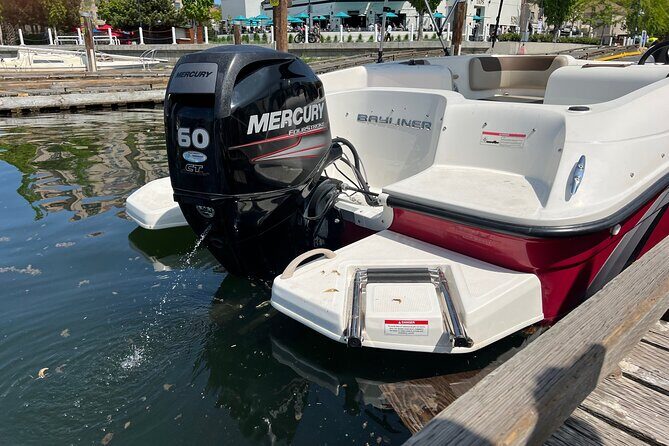 Bayliner Element 60HP Boat - What to Expect on Your Kelowna Water Adventure