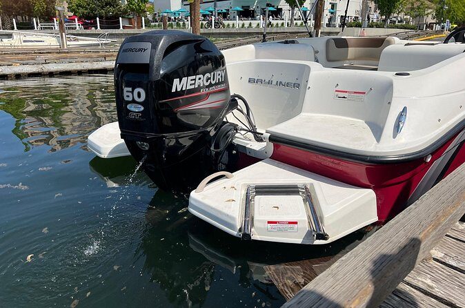 Bayliner Element 60HP Boat - Who Is This Best For?