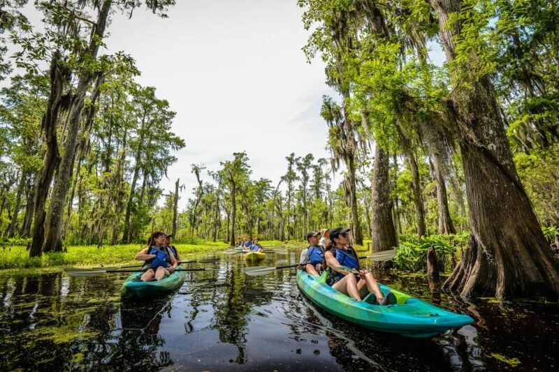 Bayous And Byways, Oak Alley Plantation And Kayak Swamp Tour - Key Points