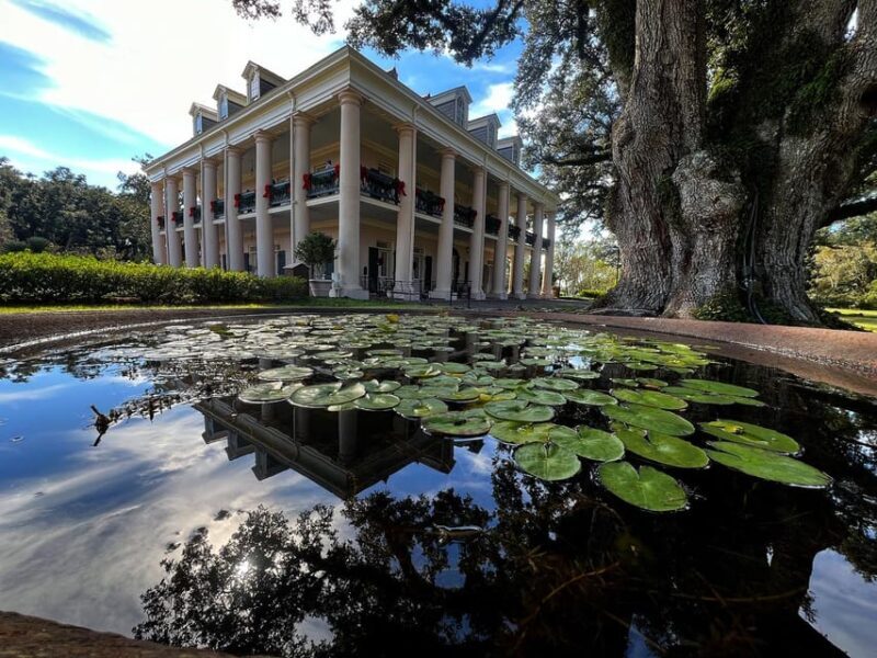 Bayous And Byways, Oak Alley Plantation And Kayak Swamp Tour - What to Bring and Considerations