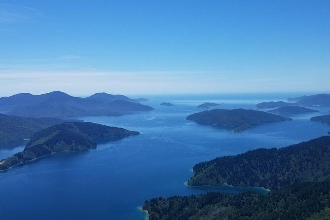 Bays and Bush Flight Scenic Tour - Detailed Breakdown of the Tour