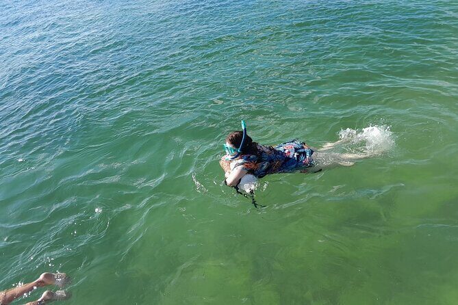 Bayside Market Place Snorkeling for Beginners - Analyzing the Experience: Is It Worth It?
