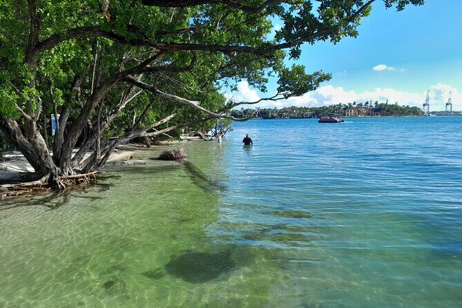 Bayside Market Place Snorkeling for Beginners - Who Should Consider This Tour?