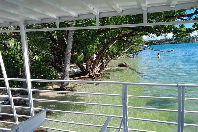 Bayside Market Place Snorkeling for Beginners - Final Thoughts