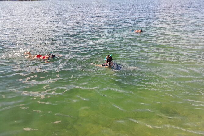 Bayside Market Place Snorkeling for Beginners - FAQs