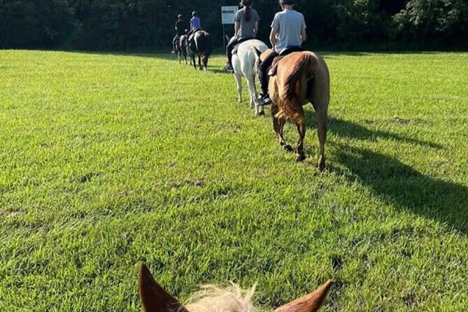 B&C horseback riding in nature and Keeneland racetrack. - What’s Included and What’s Not