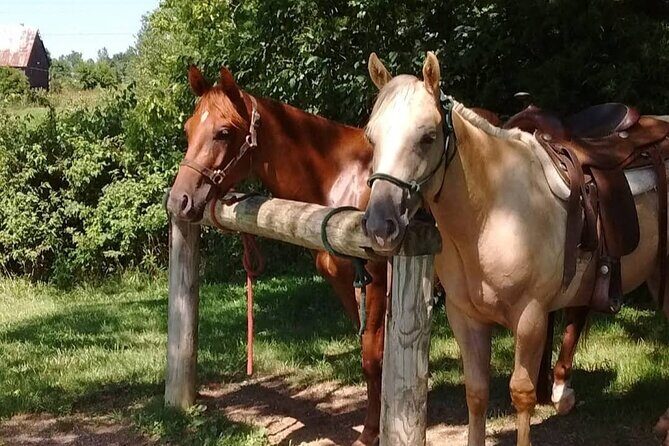 B&C horseback riding in nature and Keeneland racetrack. - Frequently Asked Questions