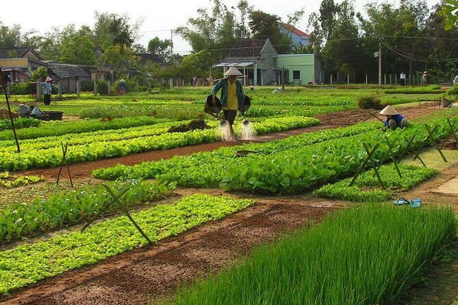 Be a Famer in Tra Que Vegetable Village and lantern making experiences day trip - Key Points