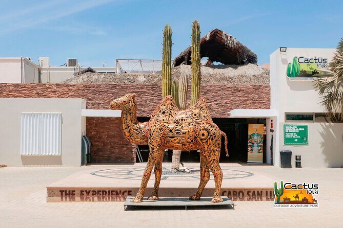 Beach and Desert Mini Razor Tour in Cabo - The Sum Up: Is This Tour Worth It?