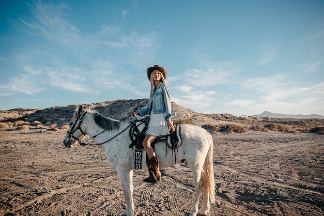 Beach and Desert Scenic Horseback Ride in Baja California Sur - An In-Depth Look at the Baja Horseback Ride