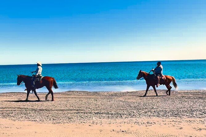 Beach and Desert Scenic Horseback Ride in Baja California Sur - Final Thoughts