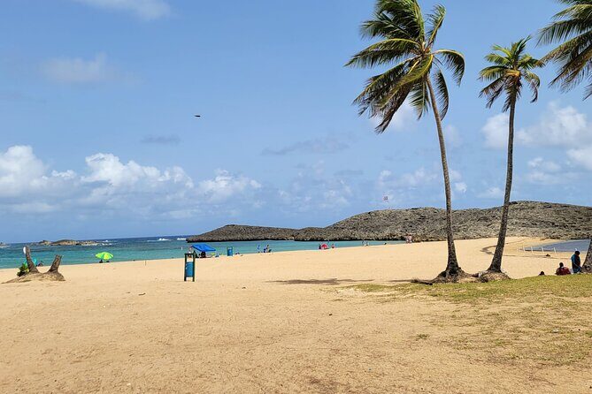 Beach and River Las Pailas Experience - Practical Tips & Considerations