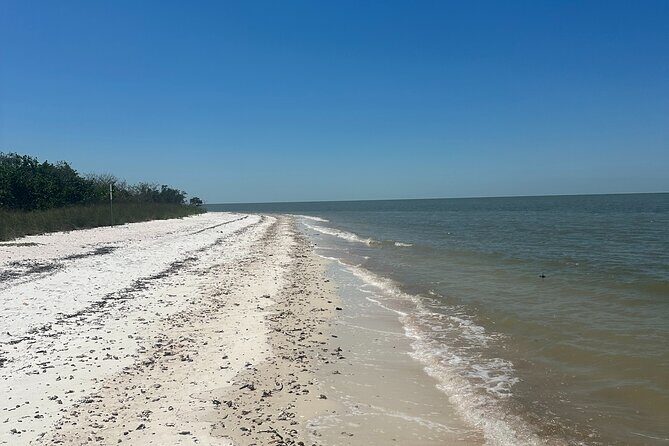 Beach and Shelling Excursion - Public - Why This Tour is a Great Choice