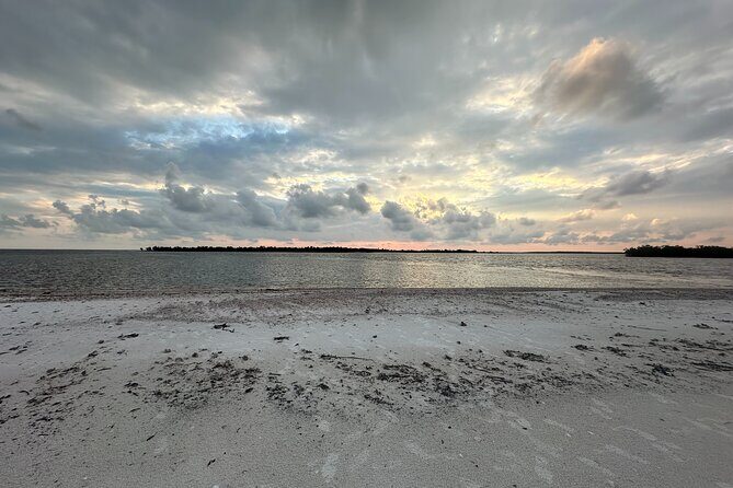 Beach and Shelling Excursion - Public - Final Thoughts