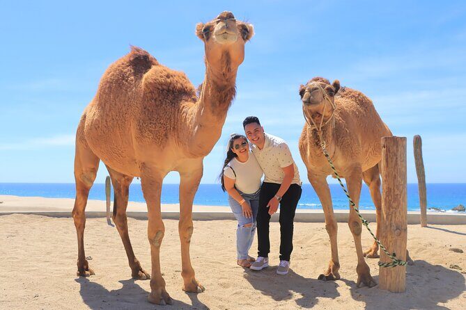 Beach ATV & Camel Ride COMBO in Cabo by Cactus Tours Park - What to Expect at Cactus Tours in Cabo