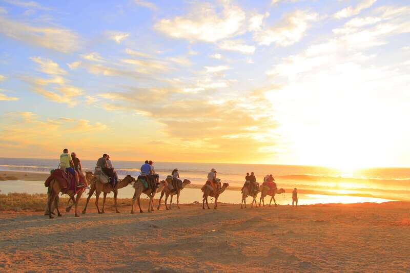 Beach ATV & Camel Ride COMBO in Cabo by Cactus Tours Park - Authentic Experiences and What Travelers Say