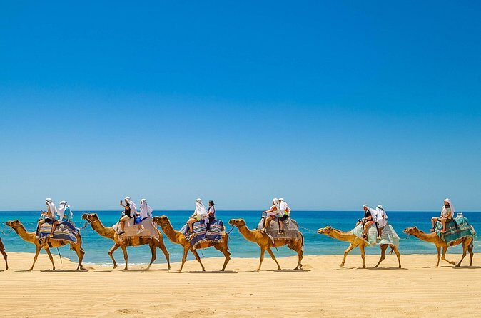 Beach ATV y Camel Ride y Sky Bike Adventure - Who Will Love This?