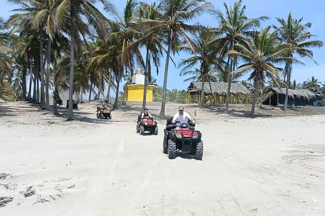 Beach Bliss Stone Island ATV Horse Ride Water Sports Food Drinks - Transportation and Logistics