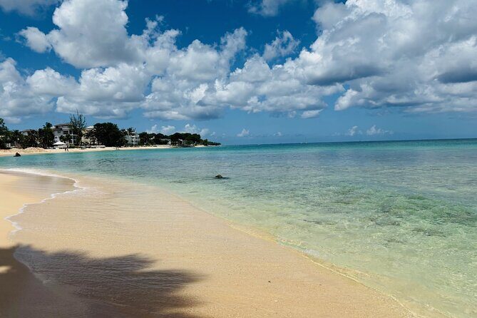 Beach BodyPump Workout in Barbados Train with a Certified Coach - Practical Tips for Booking and Enjoying