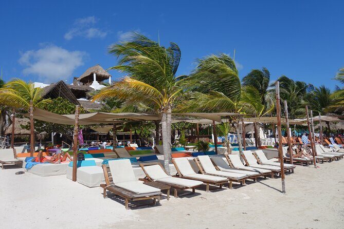 Beach Break Costa Maya with Lunch and Open Bar - Who Is This Experience Best For?