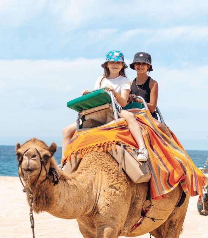 Beach Camel Ride & Encounter in Cabo by Cactus tours park - Key Points