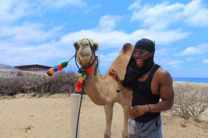 Beach Camel Ride & Encounter in Cabo by Cactus tours park - Authenticity and Value