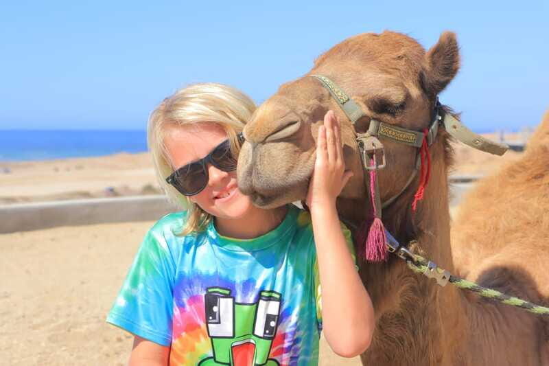 Beach Camel Ride & Encounter in Cabo by Cactus tours park - Final Thoughts: Is it worth it?