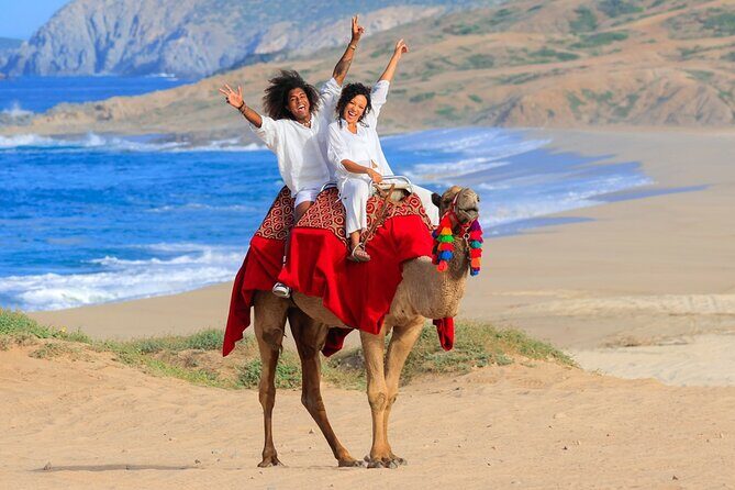 Beach Camel Ride & Encounter in Cabo - An Introduction to the Beach Camel Encounter