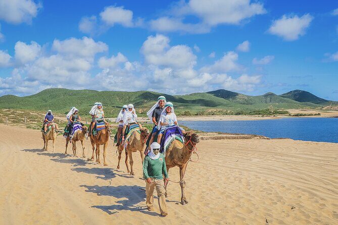 Beach Camel Ride & Encounter in Cabo - Who Is This Tour Best For?