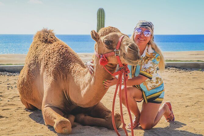 Beach Camel Ride & Encounter in Cabo - FAQs