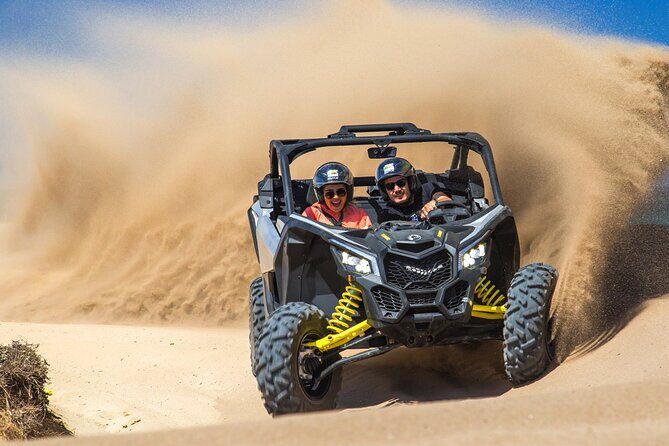 Beach Camel Ride & Sky Bike in Cabo by Cactus Tours Park - Authentic Insights from Traveler Reviews