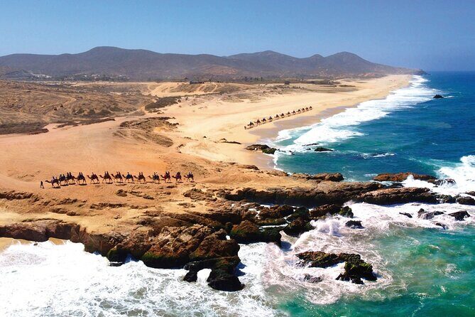 Beach CAN-AM SXS X3 & Camel Ride in Cabo by Cactus Tours Park - Cultural and Culinary Highlights