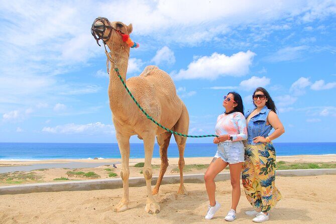 Beach CAN-AM SXS X3 & Camel Ride in Cabo by Cactus Tours Park - Additional Fees and Considerations