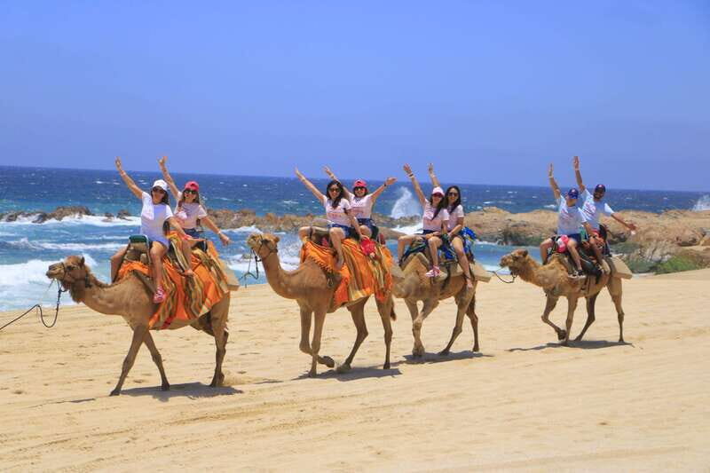 Beach CAN-AM SXS X3 & Camel Ride in Cabo by Cactus Tours - Will This Tour Suit You?