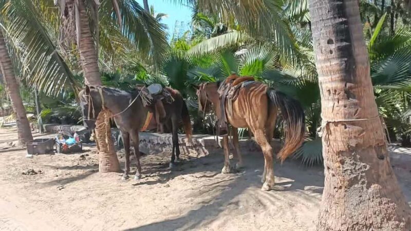 Beach Club All Inclusive: Horse Ride Water Sports Food Drink - Final thoughts on value and experience