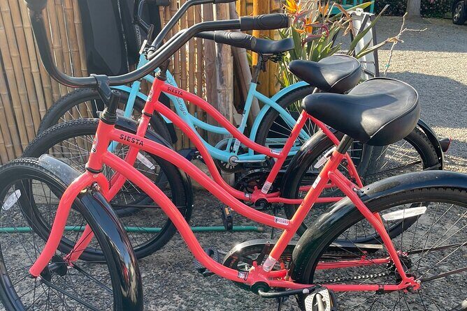 Beach Cruiser Bike Rental All Day Solana Beach - Key Points