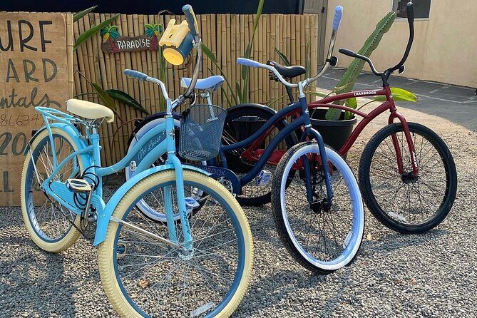 Beach Cruiser Bike Rental All Day Solana Beach - Who Should Consider This Experience?