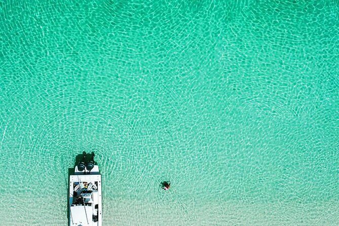 Beach Day Swim with Turtles and Pigs Excursion in Nassau - Who Would Love This Tour?