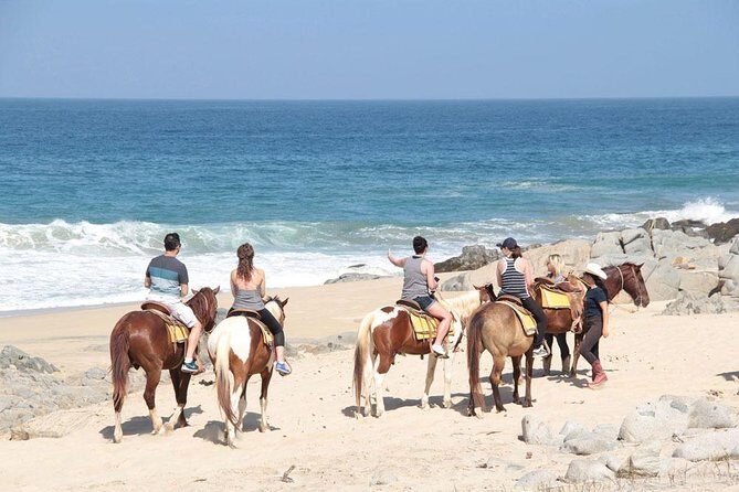 Beach & Desert Horseback Tour - An Incredibly Scenic and Authentic Horseback Ride