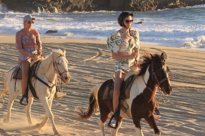Beach & Desert Horseback Tour - What Reviewers Say