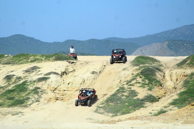 Beach & Desert Premium X3 UTV Tour in Cabo by Cactus Tours Park - Transportation and Group Size