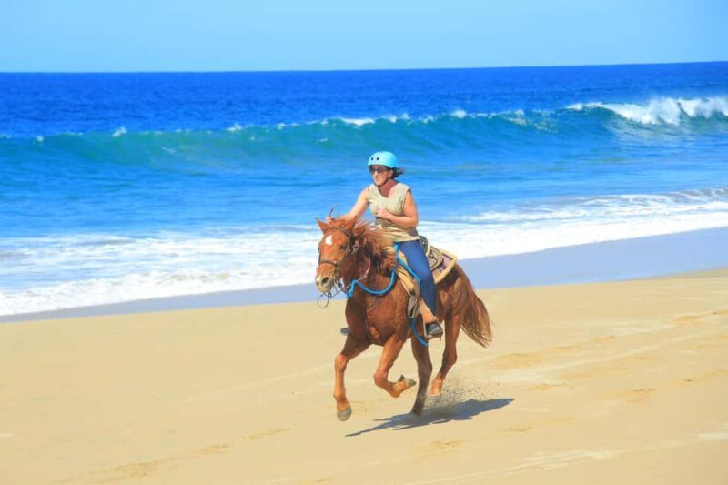 Beach & Deset 3 in 1 Tour in Cabo by Cactus Tours - The Final Touch: Tequila Tasting