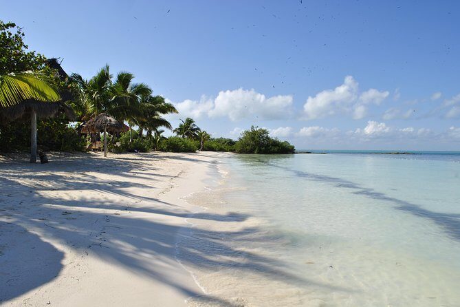 Beach Escape: Isla Contoy and Isla Mujeres with Snorkeling. - Key Points