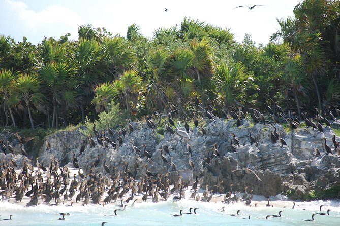 Beach Escape: Isla Contoy and Isla Mujeres with Snorkeling. - Final Thoughts