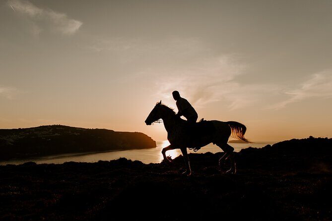 Beach gallop - horse riding Safari for experienced riders - In The Sum Up