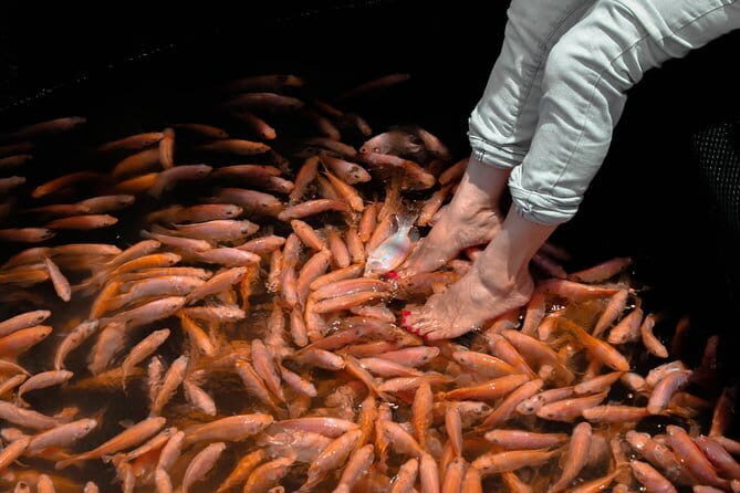 Beach Getaway (8 Days) - What Could Be Better?