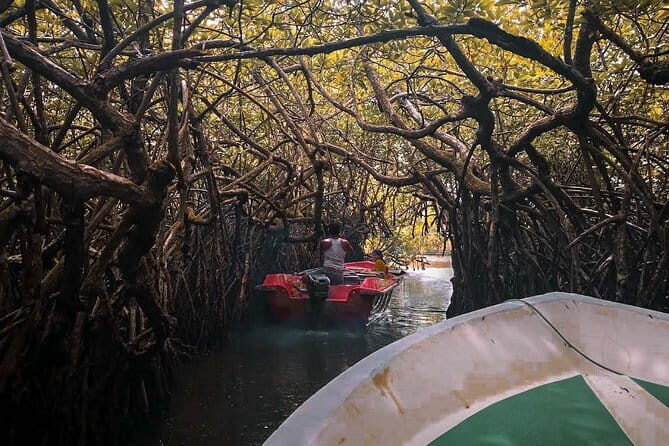 Beach Getaway (8 Days) - Final Thoughts