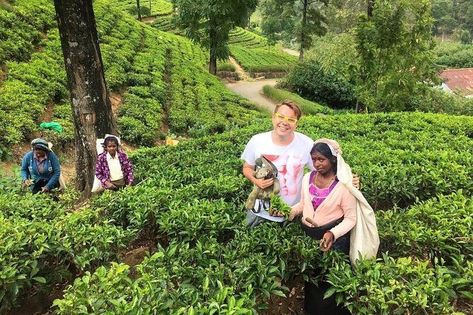 Beach & Green Hills Week Tour - A Closer Look at the Itinerary