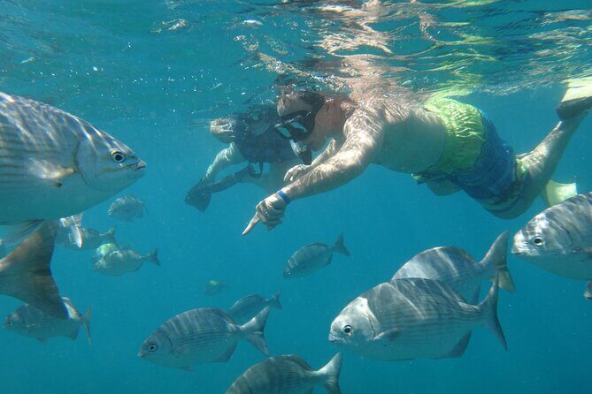 Beach Hopper, Amazing Snorkel Experience At Los Cabos! - Key Points